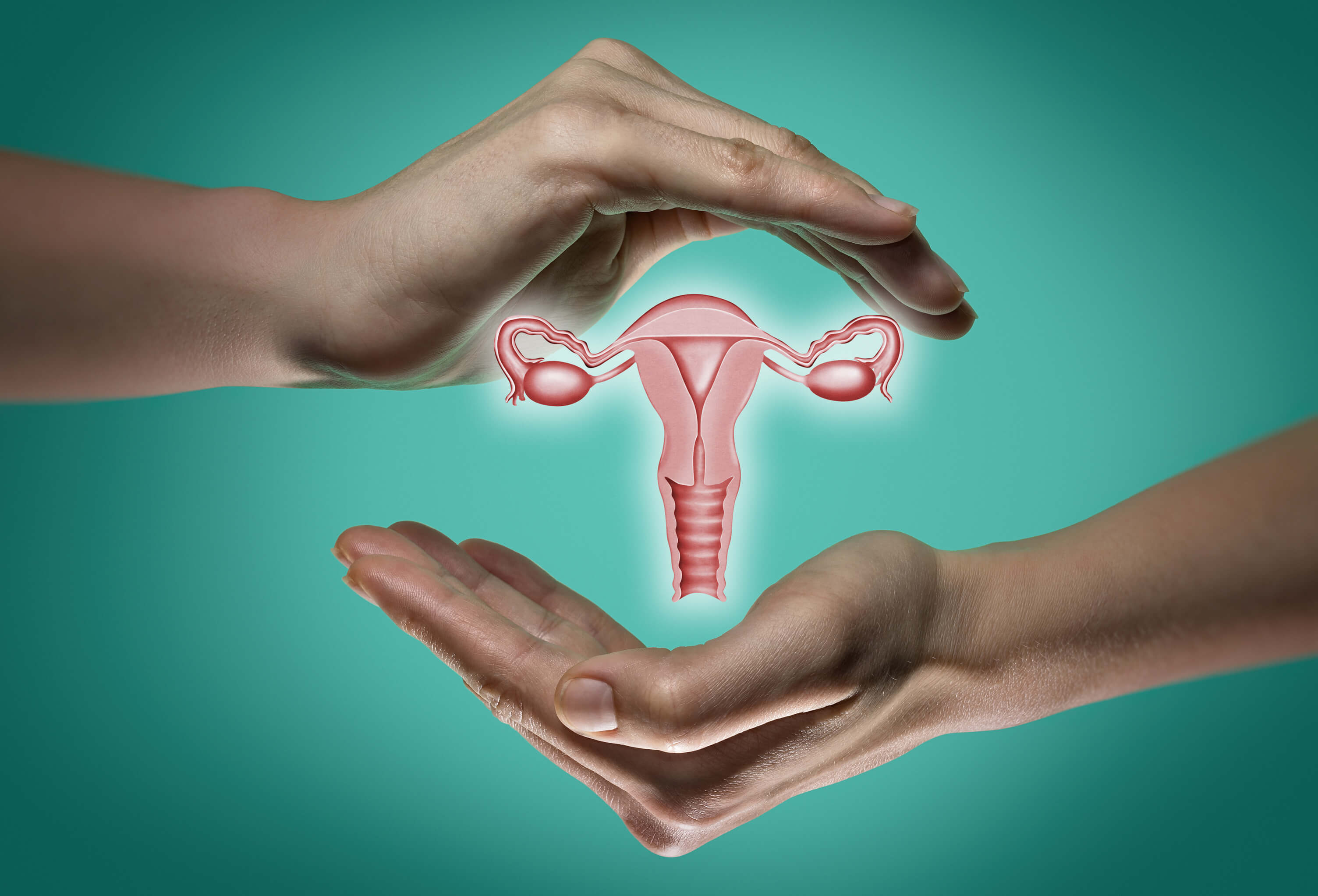 Understanding your Reproductive Cycle - Viera Fertility