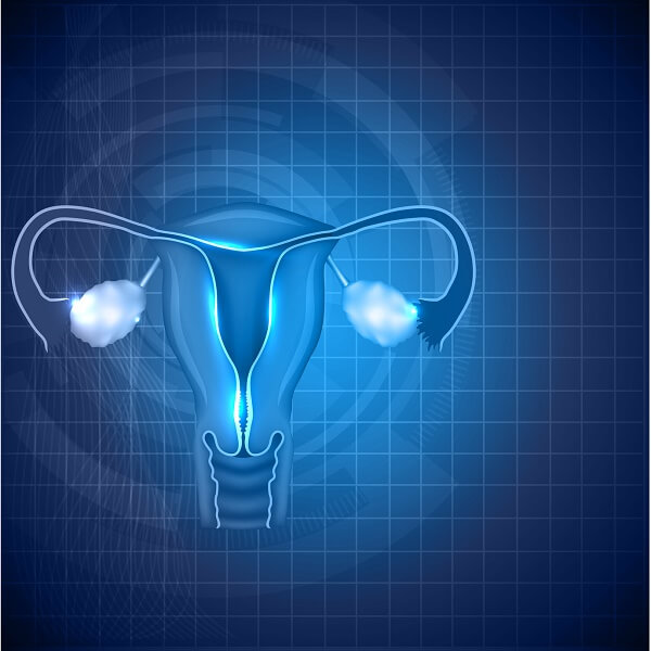 Understanding Tubal Sterilization Reversal - Viera Fertility