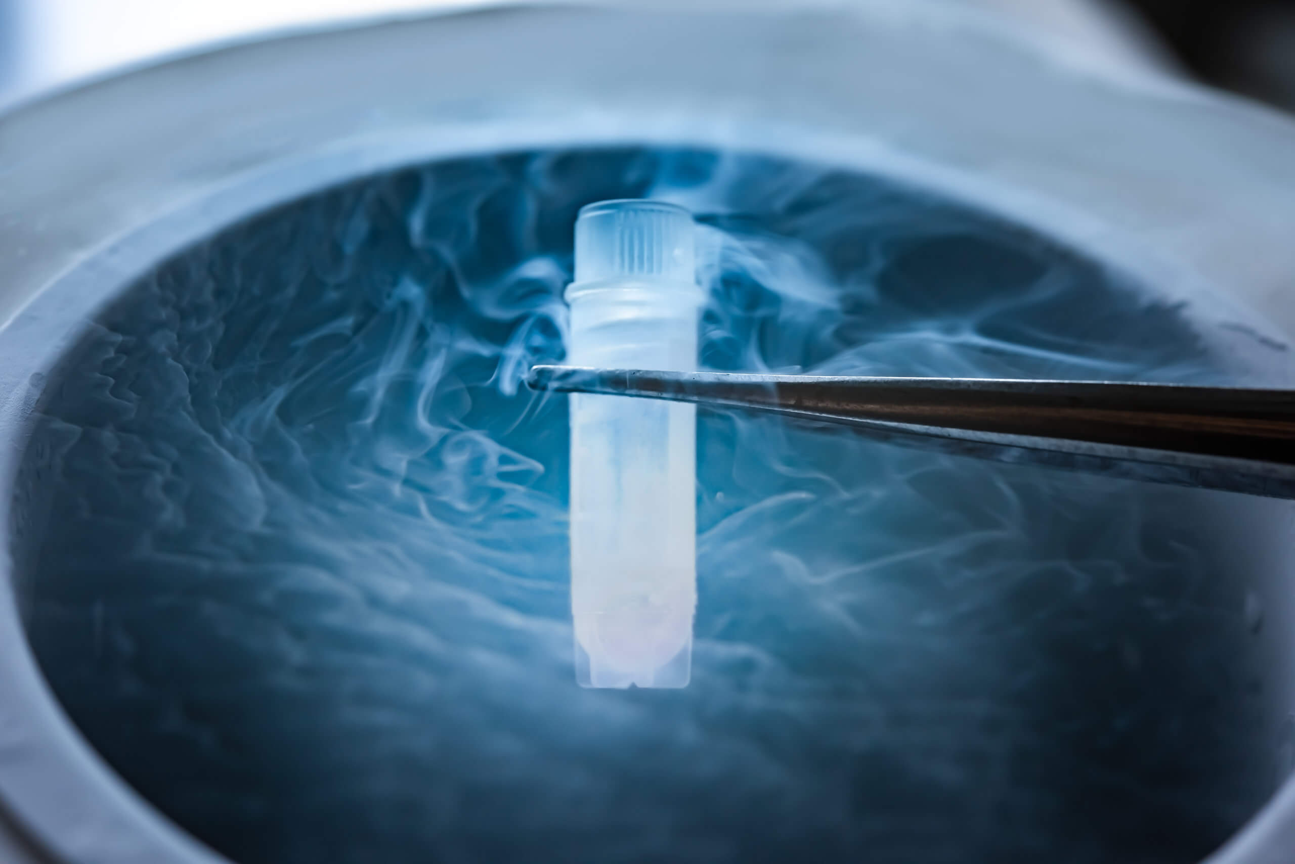 What Are the Benefits of Cryopreservation? - Viera Fertility