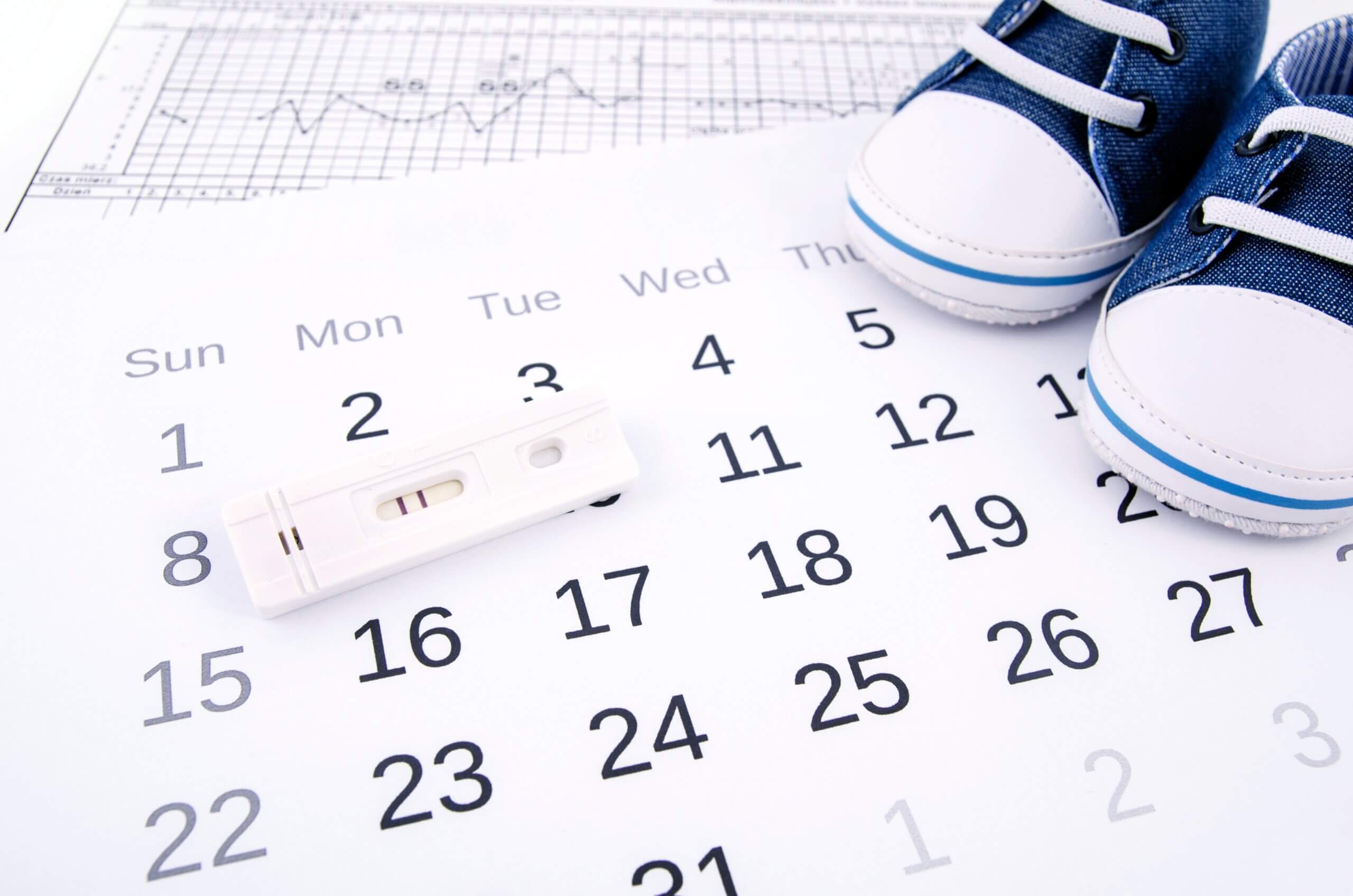 Understanding Ovulation: Tracking and Predicting the Most Fertile Time ...